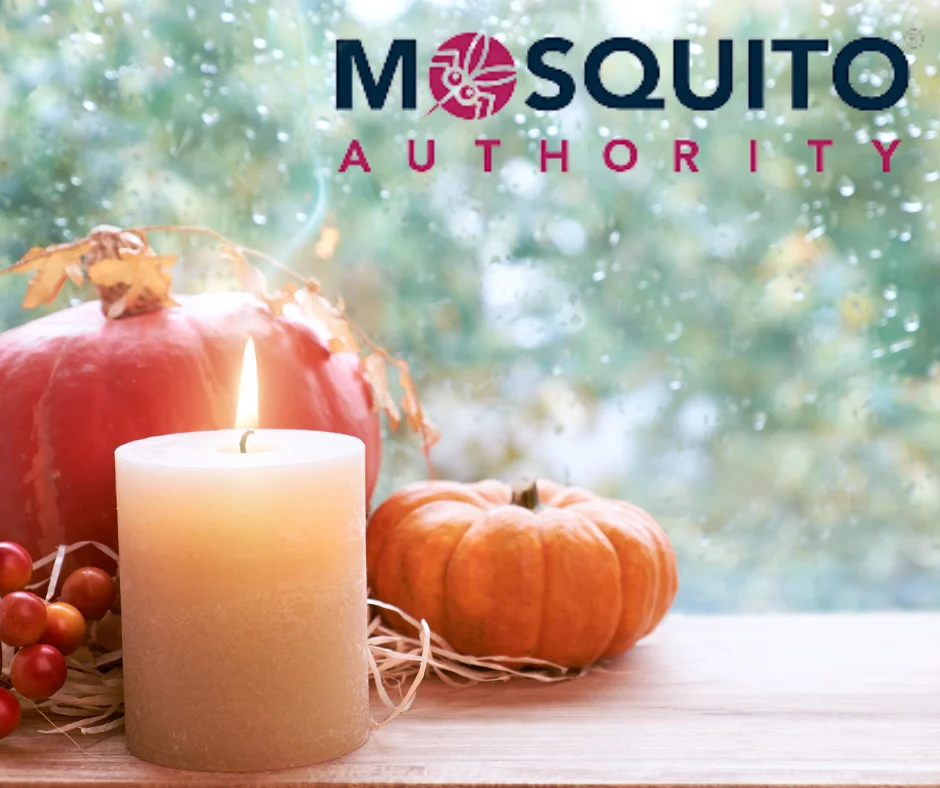 Best Fall Activities to Celebrate the Season